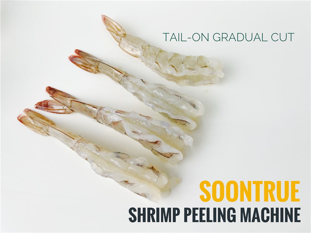 shrimp peeling machine - Soontrue