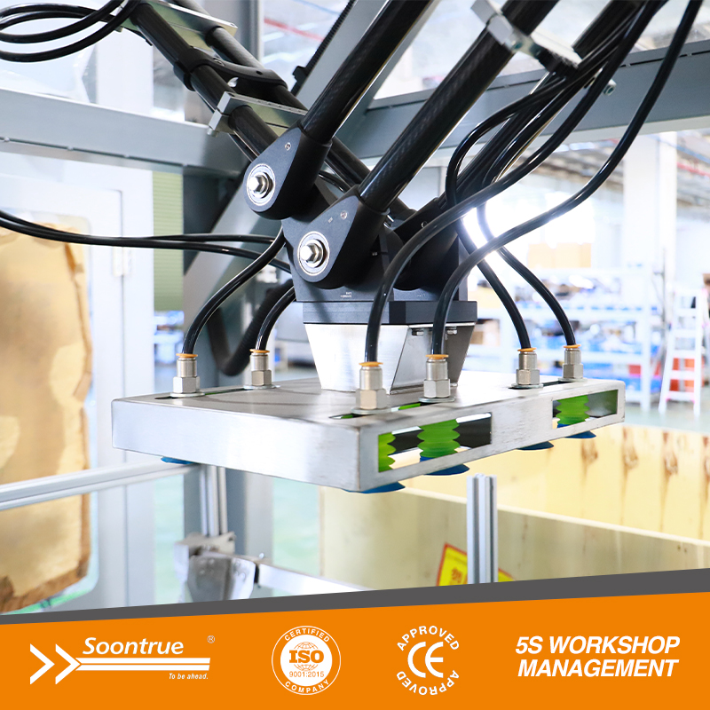 Robotic Case Packer - Soontrue