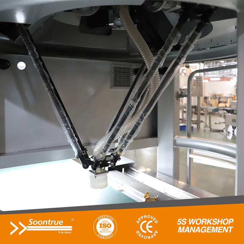 Robotic Case Erector - Soontrue